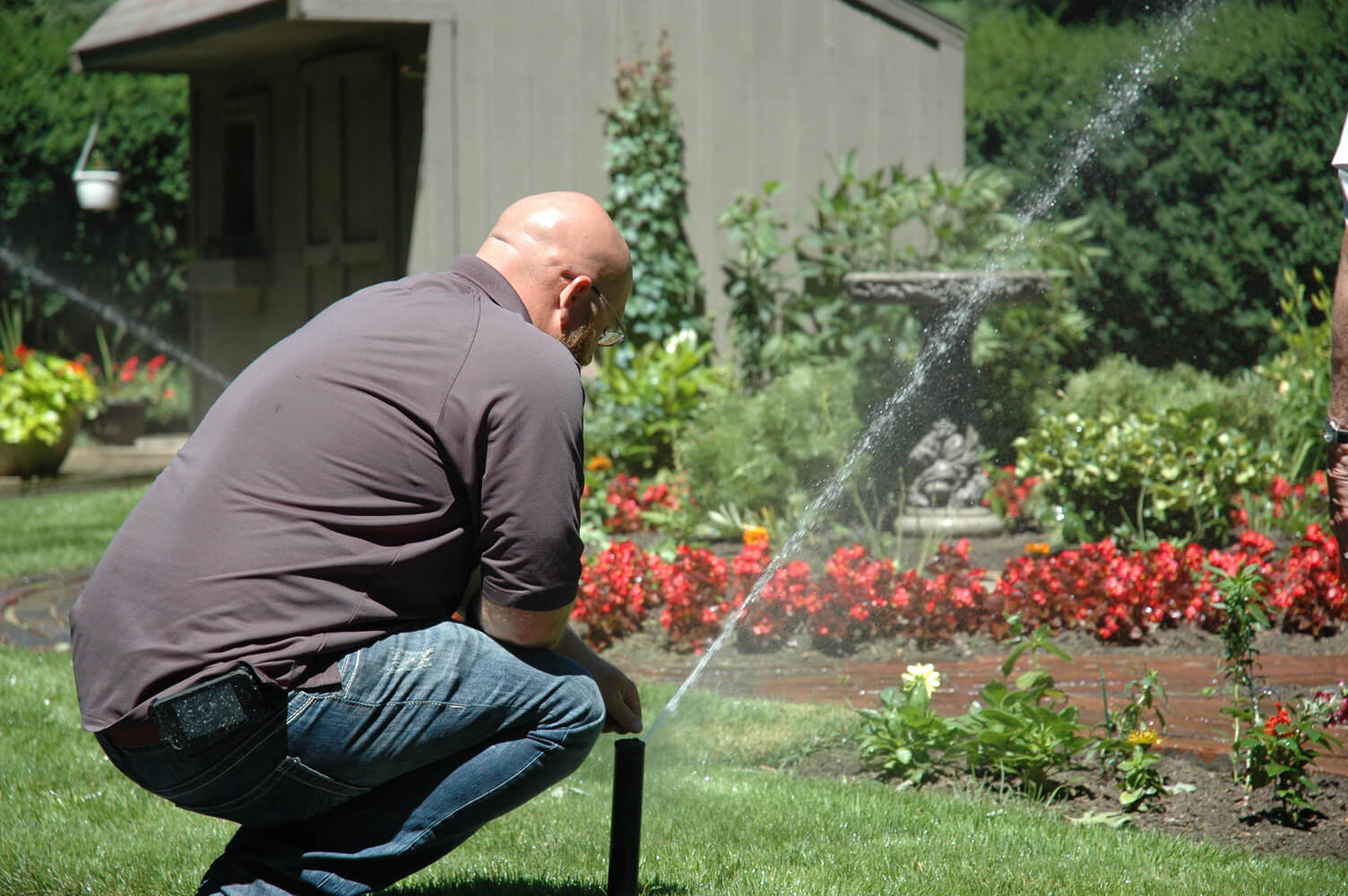 Irrigation Tips for Installation & Care